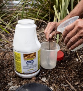 DIY Termite Treatment - Superway